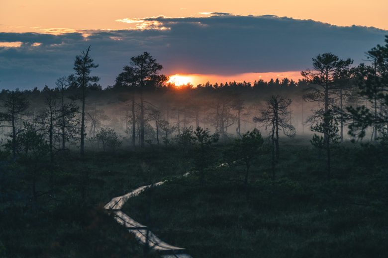 Huittinen is a lively town in the middle of the Finnish countryside ...