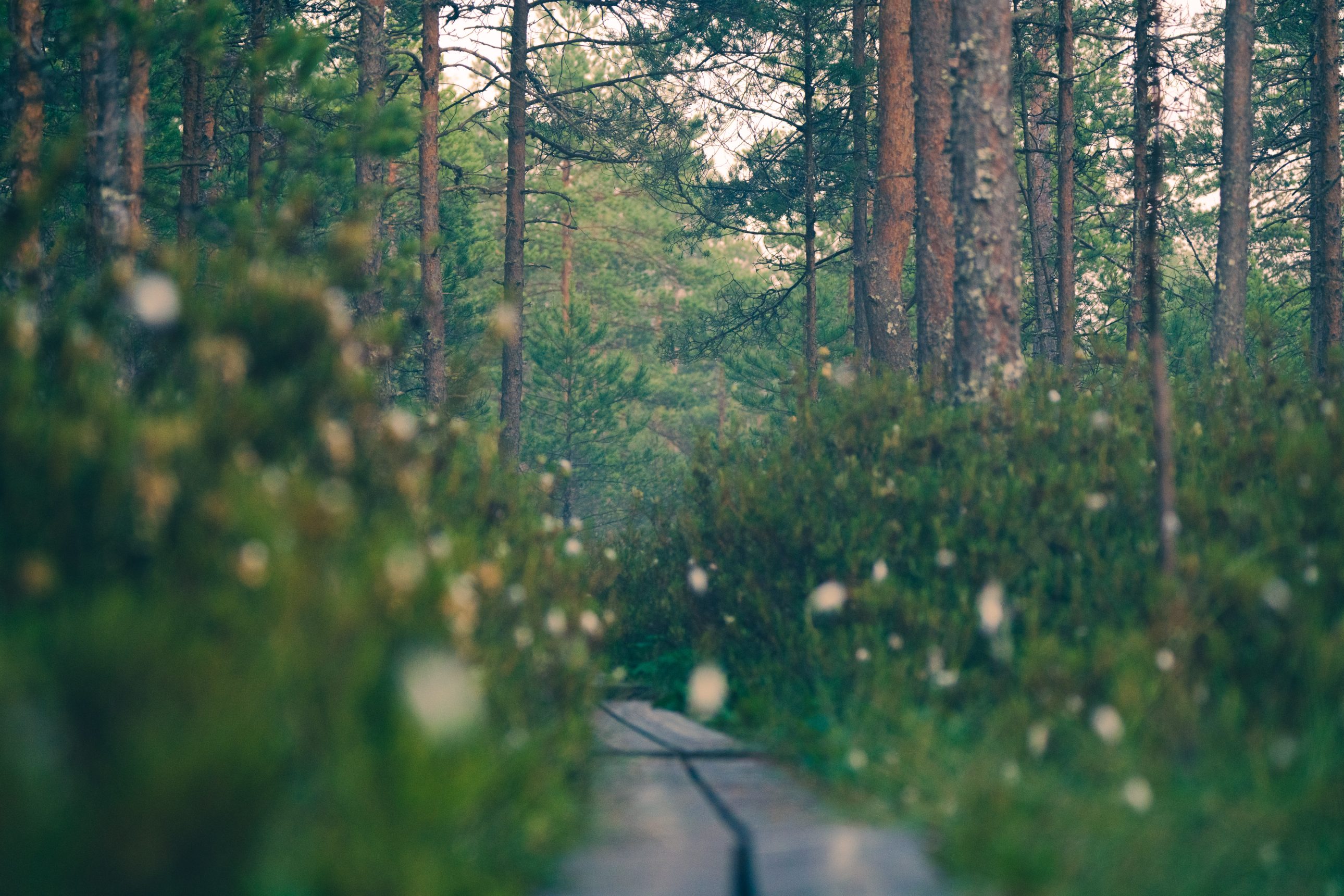 Huittinen is a lively town in the middle of the Finnish countryside ...